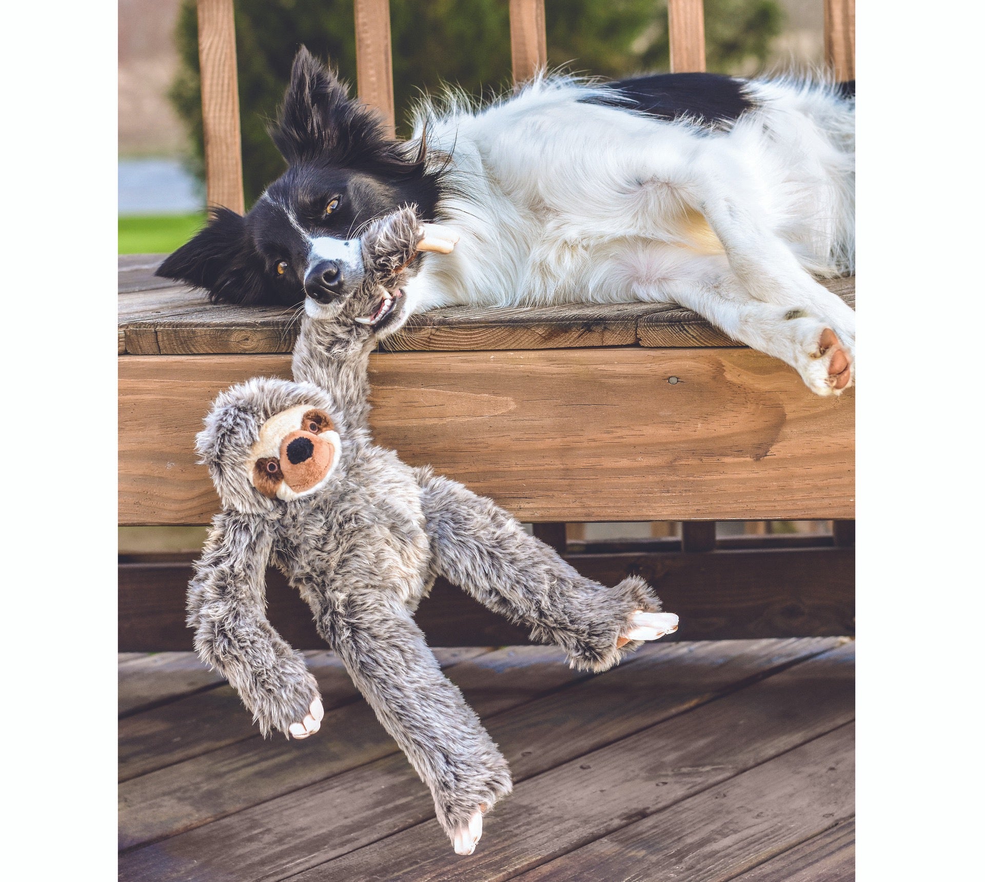 Fluff & Tuff Tico Sloth | The Tail That Got Away
